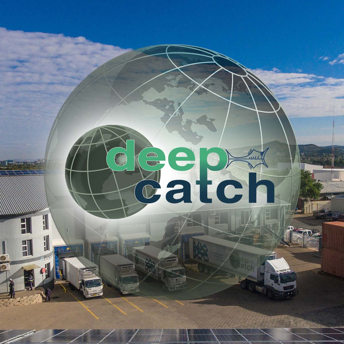 About Us - About Us | Deep Catch Trading
